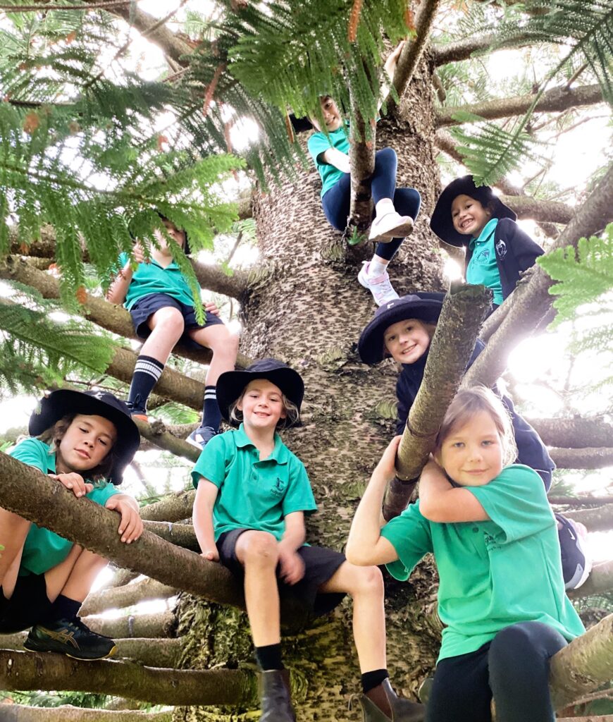 Parents and Citizens’ (P&C) Association - Augusta Primary School